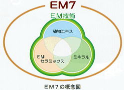 EM1号、2号、3号、EMW、EMX、EM－X など有用微生物EM菌の販売と微生物についての説明